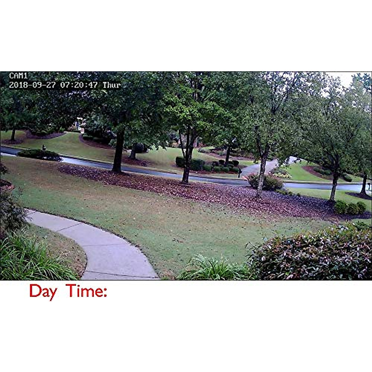 Zeus CCTV WiFi Floodlight Bulb Camera Home Security System Wireless Outdoor Waterproof Remote Control Camera Night Vision 1080p E26 LED Floodlight Cam