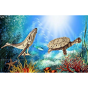 3D Wooden Sea Animal Puzzle - 6 Piece Set Wood Sea Animals Skeleton Assembly Model Kits - Wooden Crafts DIY Brain Teaser Puzzle - STEM Toys Gifts for Kids and Adults Teens Boys Girls