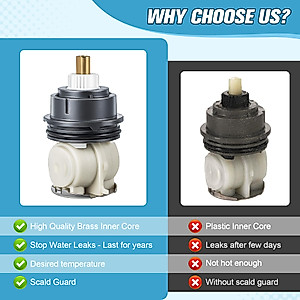 Enhon 2 Pack Shower Cartridge Replacement, RP46463 Cartridge Replacement Compatible with Delta Monitor 17 Series (2006 - Present) Dual Function Shower Faucet Valve, Including Seat and Spring Adapter