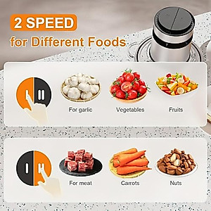 Food Processor, 500W Electric Meat Grinder Food Chopper With Two 8 Cup Bowls & 2 Bi-Level Blades, 2 Speed Kitchen Cutter For Vegetable, Onion, Garlic, Meat, Nuts, And Baby Food, Black (Black)