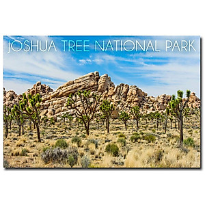 Joshua Tree National Park Blue Sky & Rocks Refrigerator Magnet Size 2.5" x 3.5"