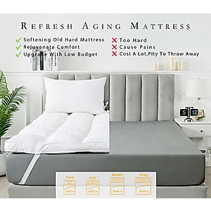 WhatsBedding 3 Inch Memory Foam Mattress Topper Queen Size for Pressure Relief, Premium Fluffy & Soft Shredded Memory Foam Filled Pillow Top, Anti-Slip Bottom, 4 Anchor Elastic Bands, 60x80