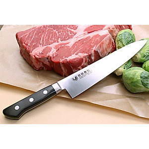 Yoshihiro INOX Aus-10 Stain-Resistant Steel Ice Hardened Gyuto Chefs Knife (9.5'' (240mm))