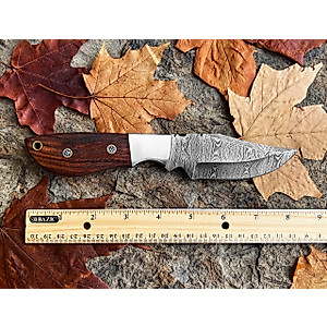 WINTERFELL Personalized Fixed Blade Damascus Hunting Knife with Sheath, Engraved Custom Gifts For Hunter, Customized Gift For Husband, Dad, Son, Unique Father's Day Gift (Brown)
