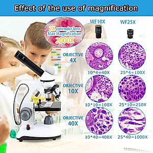 Crspexil 40X-2000X Microscopes for Kids Students Adults, with Microscope Prepared Slides 30p, Microscope Accessories, Phone Adapter, Microscopes for School Laboratory Home Education