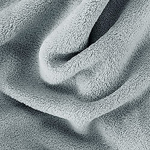 Premium Soft Throw Blankets, Fuzzy Bed Throw Blanket Sherpa Cozy and Warm, Fur Throw Blanket for Women& Man (50x60, Silver Grey Blanket)