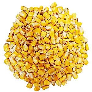Bulk Whole Corn for Wildlife Feeding (1, 50 Pounds)
