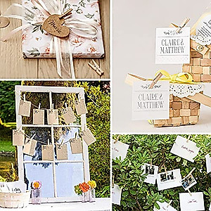 Mini Clothespins, Mini Clothes Pins for Photo Natural Wooden Small Picture Clips for Crafts 1 Inch 100 PCS Tiny Pegs Decorative Wood Clips for Wall Hanging Pictures