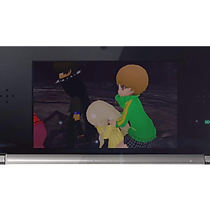 Persona Q: Shadow of the Labyrinth - Nintendo 3DS Standard Edition (Renewed)