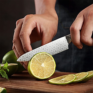TooSharp Paring Knife, Kitchen Knife 3 Inch Forged with German Stainless Steel, Full Tang Ergonomic Handle, Super Sharp to Hold an Edge, for Paring, Chopping, Slicing Fruits Vegetables, Silver