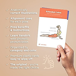 WorkoutLabs Yoga Cards – Beginner: Visual Study, Class Sequencing & Practice Guide with Essential Poses, Breathing Exercises & Meditation · Plastic Flash Cards Deck with Sanskrit