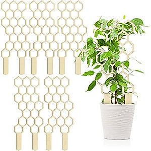 5 Pack Small Trellis for Potted Climbing Plants Trellis Starter Holder for Indoor Outdoor Garden Decor Wooden Honeycomb Potted Plants Flower Stem Vine Climbing Training Support Pole Accessories