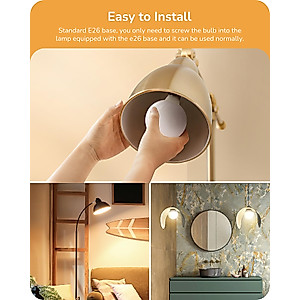 EDISHINE G25 LED Globe Light Bulbs, CRI90+ Makeup Bulbs, 5W Equivalent 25W, LED Vanity Light Bulbs for Bathroom, Makeup Mirror Light Bulbs, 2700K Warm White 450LM, E26 Base 4 Pack Non-dimmable