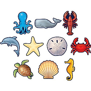 Teacher Created Resources (8895) Nautical Sea Life Accents