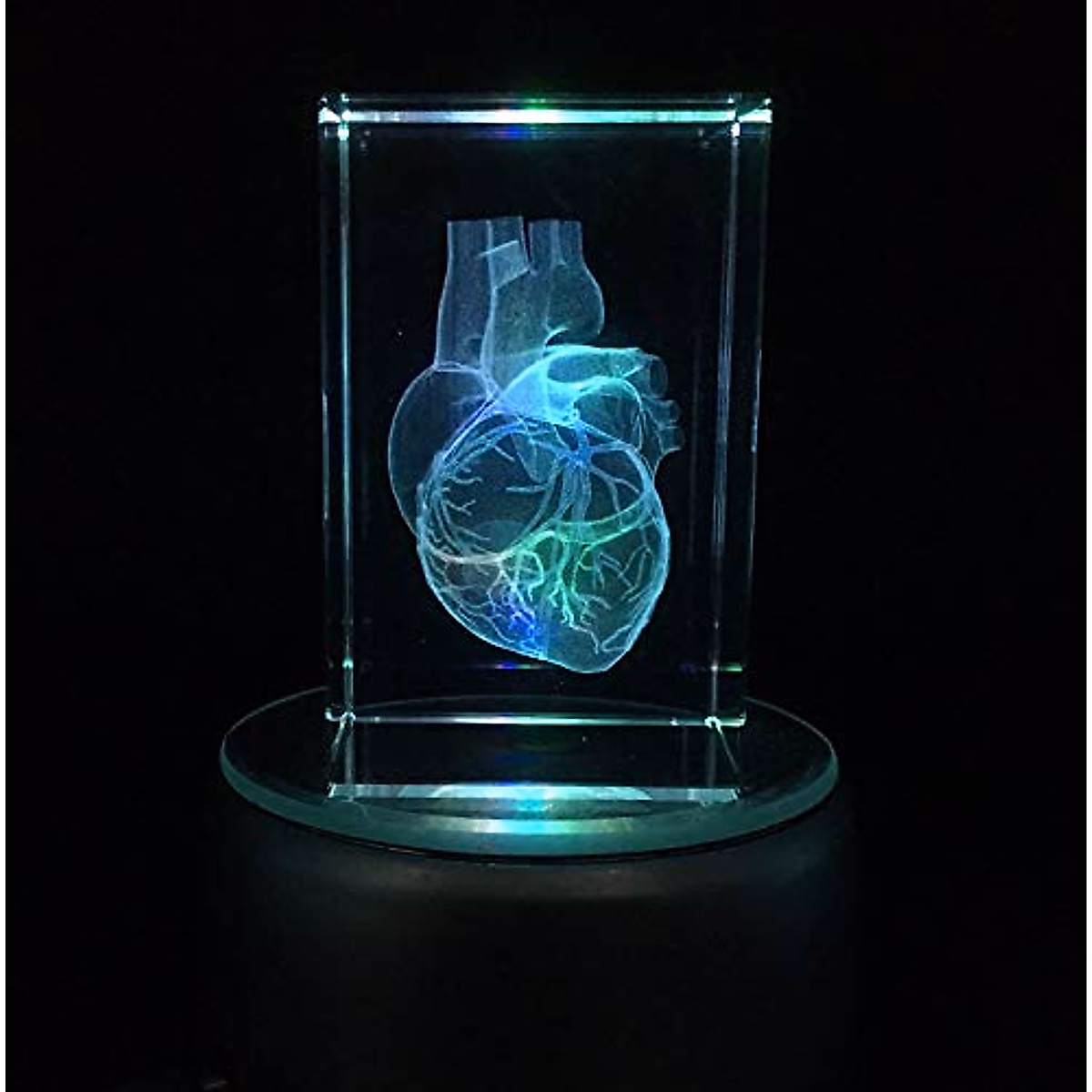 3D Human Heart Anatomical Model Paperweight(Laser Etched) in Crystal Glass Cube Science Gift (No Included LED Base)(3.1x2x2 inch)