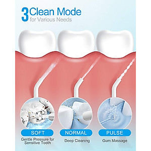 Cordless Water Flosser Teeth Cleaner, Nicefeel 300ML 2 Tip Cases Portable and USB Rechargeable Oral Irrigator for Travel, IPX7 Waterproof, 3-Mode Water Flossing with 4 Jet Tips for Home Blue
