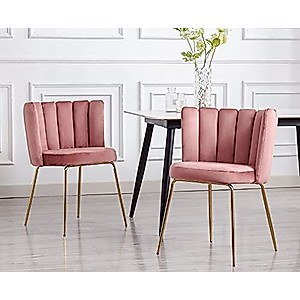 DM Furniture Velvet Dining Chairs Set of 2 Modern Accent Chair Upholstered Side Chair with Gold Metal Legs for Home Kitchen Living Room, Pink