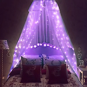 iiEASEST Purple Led Fairy String Lights Halloween Christmas Gift for Mother Grandma 100 LED 33 Feet Wire Micro Mini Twinkle Starry Lights with Remote for Tree Bedroom Party Wedding Decor