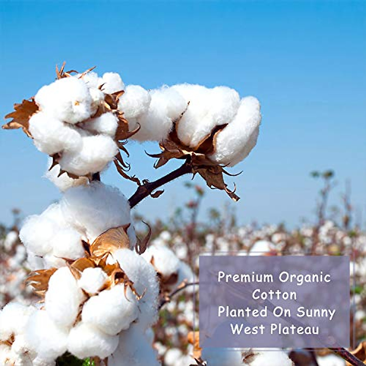 JEFFSUN Colorful Cotton Washcloths, Ultra Soft and Highly Absorbent Bathroom Face Cloths 13 X 13 Inch (6-Pack)