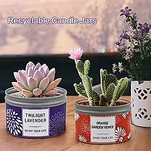 Candles for Home Scented, 3 Pack Scented Candles Gifts for Women, 100 Hour Long Lasting Soy Candles, Aromatherapy Jar Candles for Home, Birthday, Holiday - Lavender | Orange Blossom | Mahogany Candle