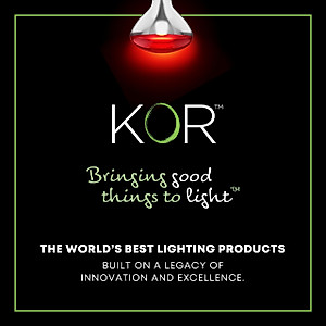 250 W att R40 Incandescent Light Bulbs (2-Pack) - Bathroom Infrared Heat Lamp for Chickens Chicks Puppies Reptiles Livestock Poultry , Sauna Red Light Therapy Bulb | 2,000 Hour Rated, E26 Base, 120V