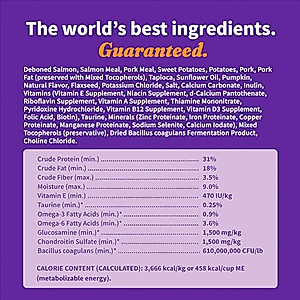 Halo Elevate Dry Dog Food, Grain Free Salmon Recipe, 20lb