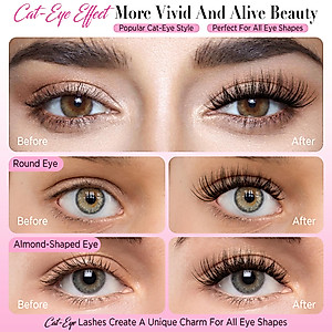 Eyelashes Natural Look False Lashes - Bepholan Fake Eyelashes 5D Super Fluffy False Eyelashes Clear Band Wispy Lashes 3-Pack Faux Mink Lashes(XMZ92)