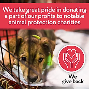 Arava Dog Ear Infection Treatment - First Aid in Acute & Chronic Inflammations - Anti Itch Effective Ear Cleaner - Pet Otic Ear Care Solution