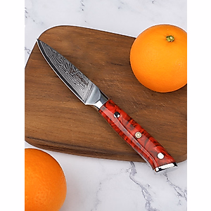 SANMUZUO 3.5 Inch Paring Knife - Kitchen Fruit Vegetable Knife Damascus Steel & Resin Handle - Xuan Series (Sunset Red)