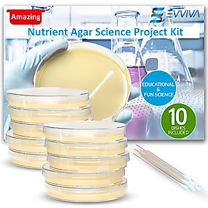 Evviva Sciences Nutrient Agar Petri Dishes Science Project Kit, Pre-Poured Agar Plates for Science Experiments, with Experiment eBook