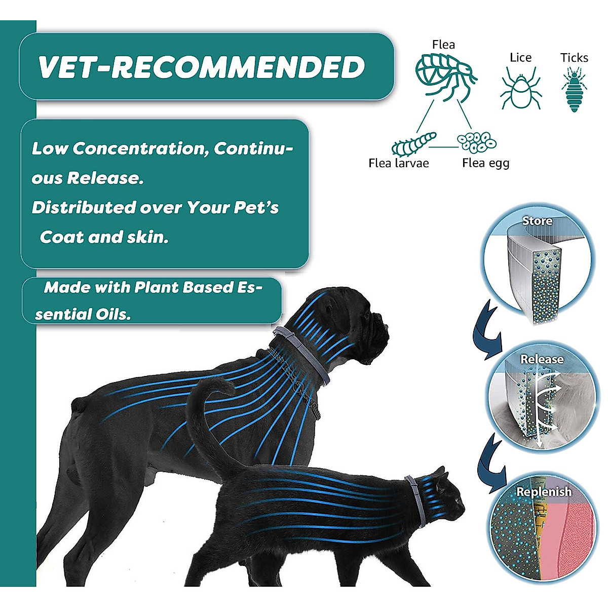 Flea and Tick Collar for Cats - Offers 12-Month Protection, Crafted with Premium Plant Oils, Waterproof, Natural, Safe for Kittens, Includes Free Comb and Tweezers, 13.8 in (2 Packs)