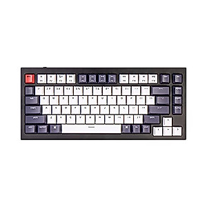 Keychron Q1 RGB Wired Custom Mechanical Keyboard, QMK/VIA Programmable Macro with 75% Layout Hot-swappable Gateron G Pro Blue Switch Double Gasket Compatible with Mac Windows Linux (Black) -Version 2