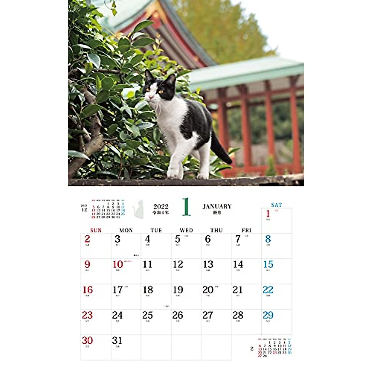 そとねこ (インプレスカレンダー2022)