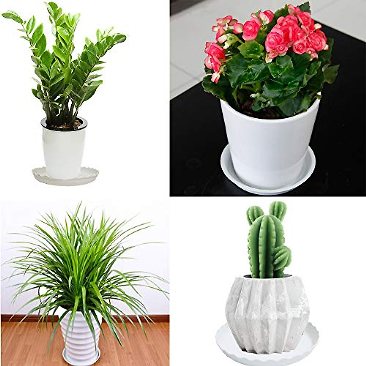 YUANAIYI 6 Packs Wave Plant Saucer - Plastic Flower Pot Drip Trays/Durable Heavy Duty White Plant Tray for Indoor and Out Door Plant(6/8/10 inch)