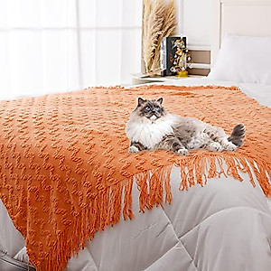 Quinnsus Knit Throw Blanket for Bed, Soft Lightweight Decorative Bed Throw Blankets, Jacquard Textured Boho Summer Throw Blanket with Tassels for Bed, Sofa and Living Room (Orange, 50 x 60 inches)