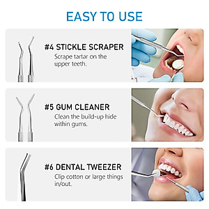 Plaque Remover for Teeth Portable Dental Tools Stainless Steel Dental Picks for Teeth Cleaning Oral Care for Adults Kids and Pets Tartar Remover for Teeth with Case for Daily Use