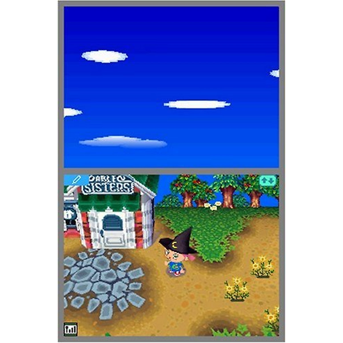 Animal Crossing: Wild World (Renewed)