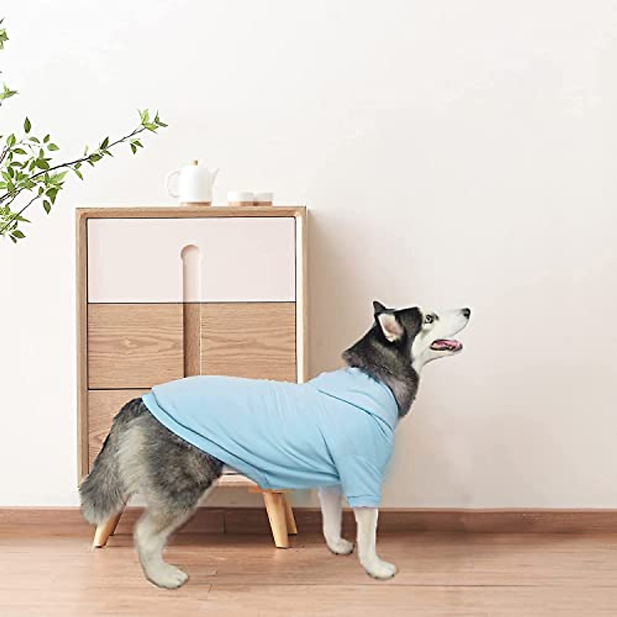 Custom Dog Hoodie Set with Name Photo, Personalized Pet Warm Sweater Hoodies for Small Medium Dogs & Cat Puppy