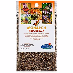 Monarch Butterfly Rescue Wildflower Seeds Bulk Open-Pollinated Wildflower Seed Packet, No Fillers, Annual, Perennial Milkweed Seeds for Monarch Butterfly 1oz