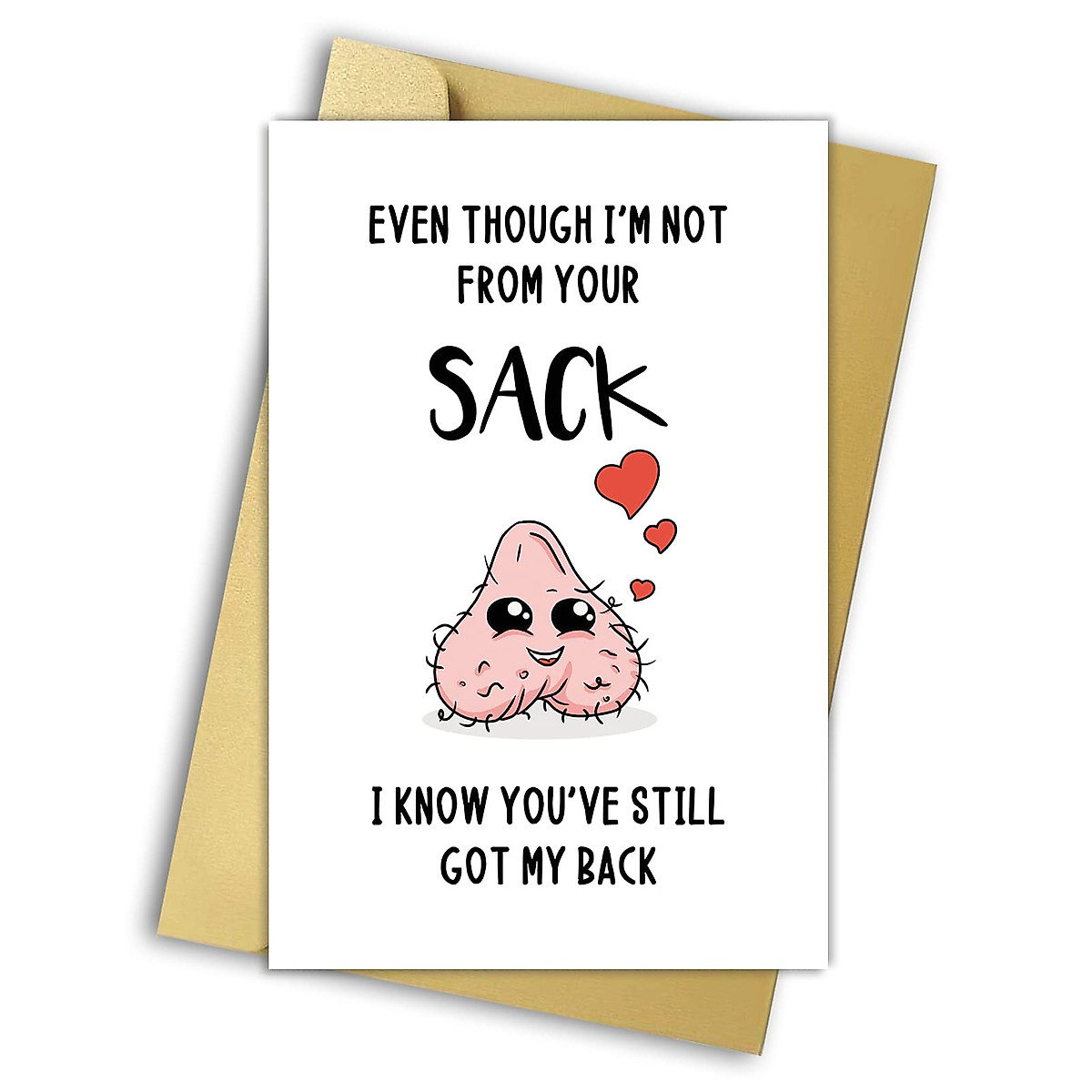 Huameigf Funny Bonus Dad Card For Fathers Day,Rude Greeting Card for Dad,Step Father Gifts From Stepdaughter Stepson,Stepdad Birthday Card,Even Though I’m Not From Your Sack Card