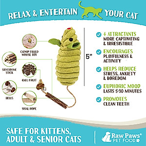 Raw Paws Catnip Cat Mouse Toys with Silvervine Stick (4-count) - Mouse Cat Toy for Indoor Cats - Silvervine Cat Toy, Interactive Cat Toy with Silvervine, Mouse Toy for Cats, Cat Mice Toys, Catnip Toys