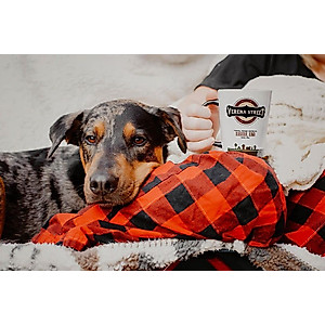 Verena Street 2 Pound Whole Bean, Swiss Water Process Decaf Beans, Sunday Drive Decaffeinated, Medium Roast Rainforest Alliance Certified Arabica Coffee