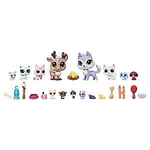 Littlest Pet Shop Advent Calendar Toy, Ages 4 and Up