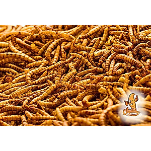11lb Chubby Mealworms Bulk Dried Mealworms High Protein Treat for Chickens, Ducks, Birds and Much More
