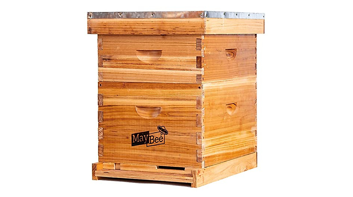 Bee Hive Starter Kit for Beginners | Durable & Complete