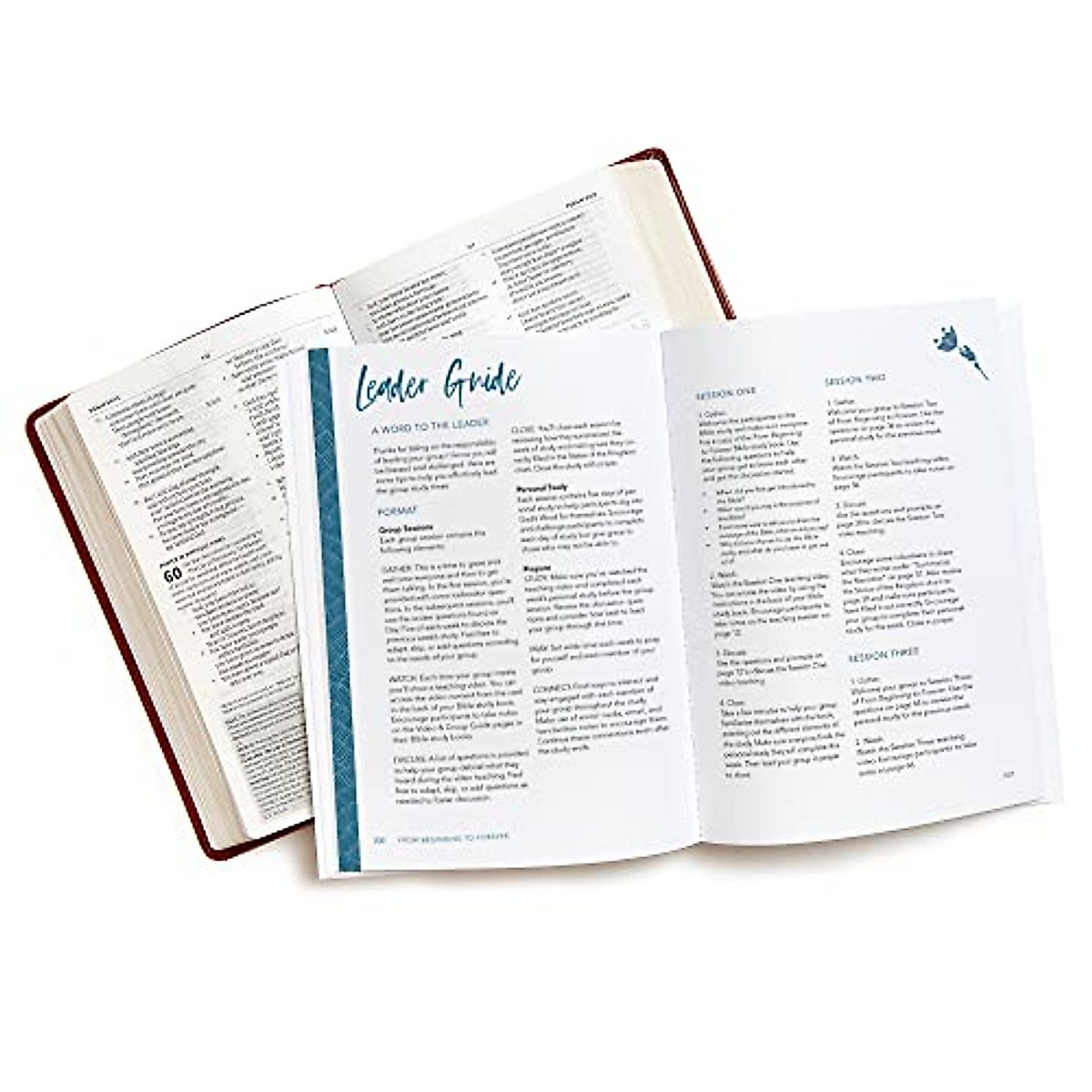 From Beginning to Forever - Bible Study Book with Video Access: A Study of the Grand Narrative of Scripture