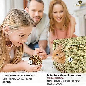 SunGrow Guinea Pig Coconut Fiber Balls, Improves Dental Health, Environment Friendly, Stress Reliever, Ideal for Chew Toy for Rabbits, Chinchilla & Kitten
