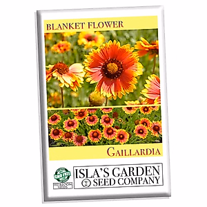 "Blanketflower" Common Gaillardia Indian Perennial Flower Seeds, 500+ Premium Heirloom Seed, (Gaillardia Aristata), 95% Germination, (Isla's Garden Seeds), Non GMO Seeds, Great Flower Garden Gift