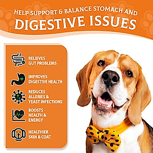 Moingo Probiotics for Dogs - Probiotic Powder for Dogs, Dog Probiotics for Immune and Digestive Health -120 Scoops Liver Flavored Probiotic Supplement