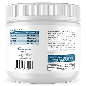 Nutrition Strength Psyllium for Dogs Complex to Promote Your Pet's Gut Health, Stimulate Healthy Digestion, Support Normal Bowel Function, with Psyllium + Inulin, Bromelain & Protease, 90 Soft Chews